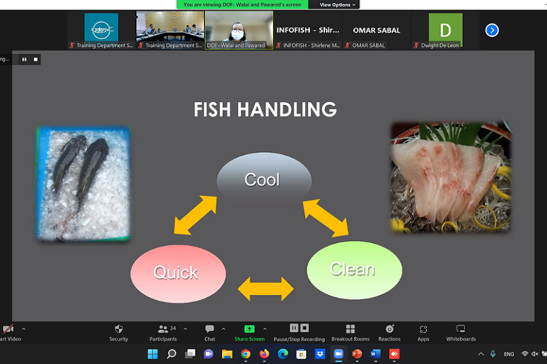 Tailor-made Online Training Course on Fish Handling Technique Onboard ...