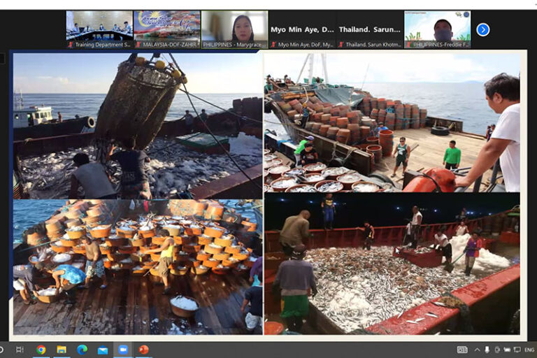 Fish Handling Techniques Regional Training Course | SEAFDEC/TD ...