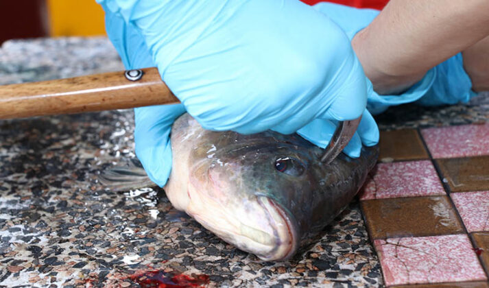 Training Course on Energy Optimization for Fishing Vessels and Post ...