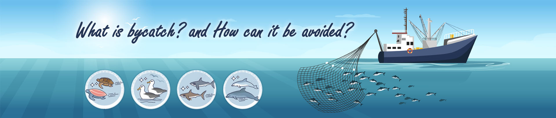 What is bycatch and How can it be avoided | SEAFDEC/TD : Southeast ...