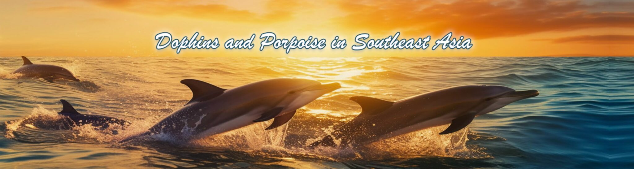 Dolphins and Porpoise in Southeast Asia | SEAFDEC/TD : Southeast Asian ...
