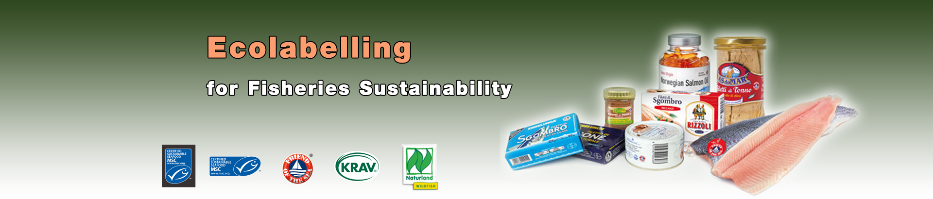 Ecolabelling for Fisheries Sustainability | SEAFDEC/TD : Southeast ...