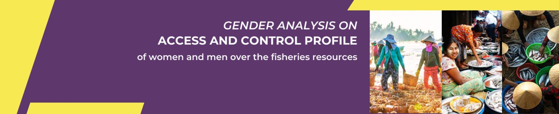 Gender Analysis on Access and Control Profile of Women and Men Over the ...