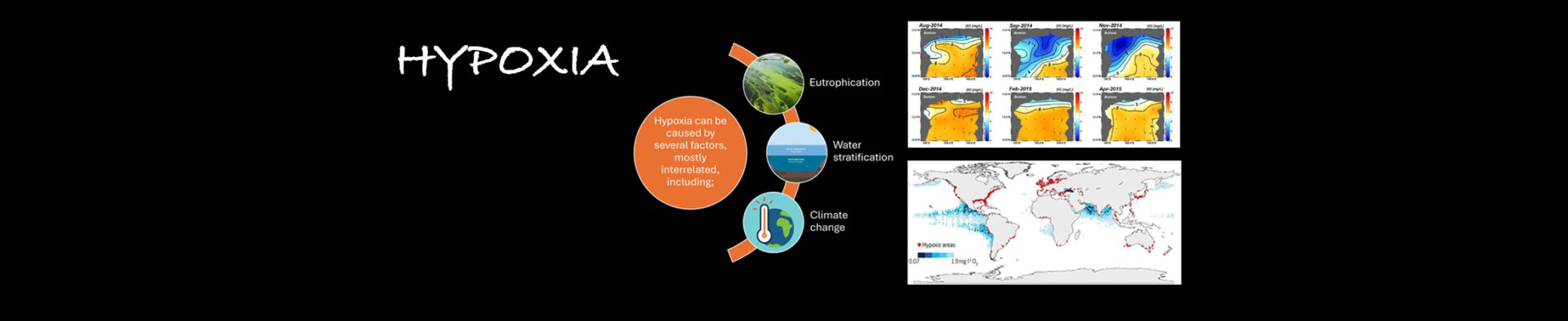 Hypoxia | SEAFDEC/TD : Southeast Asian Fisheries Development Center ...