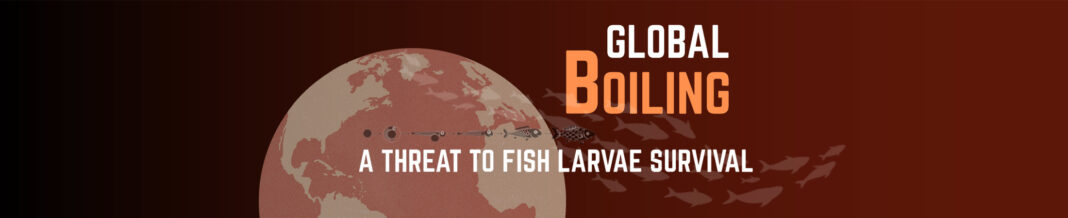 Global Boiling: A Threat to Fish Larvae Survival | SEAFDEC/TD ...
